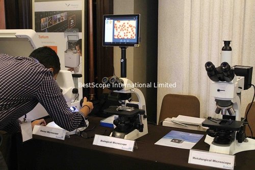 China news about