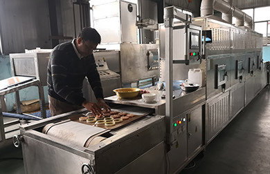 China Microwave Sterilization Equipment supplier