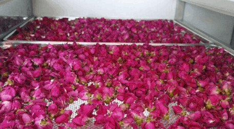 China Flower Dryer Machinery supplier