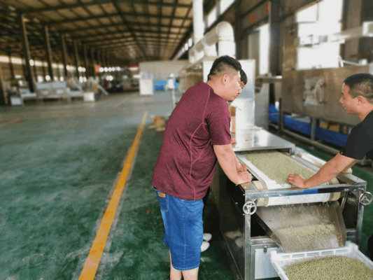 China Microwave Drying Equipment supplier