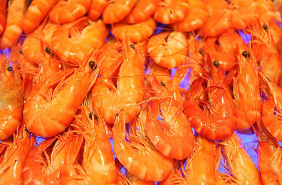 China Shrimp Meat Thawing Machine supplier