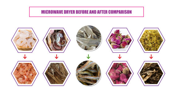 China Microwave Dry Machine supplier