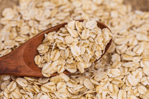 China Low Temperature Baking Equipment for Whole Grains supplier