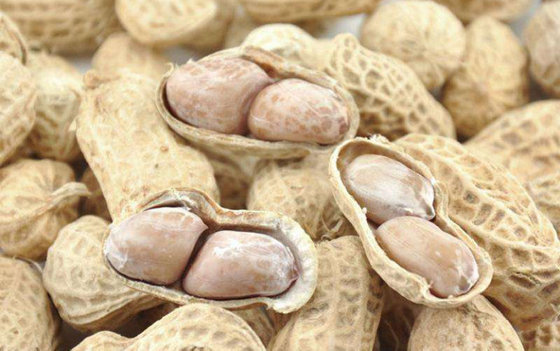 China Spiced Peanut Microwave Baking Equipment supplier
