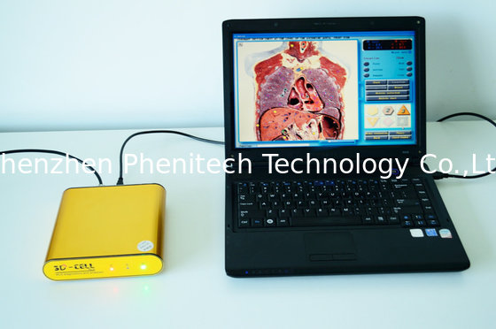 3dnls quantum body health analyzer / house-service detector tester