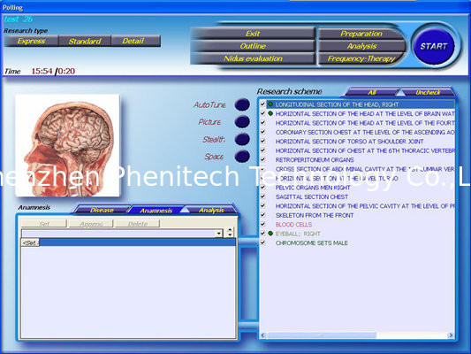 Body composition analyzer / 3D NLS Health Analyzer / 3dnls quantum body analyzer