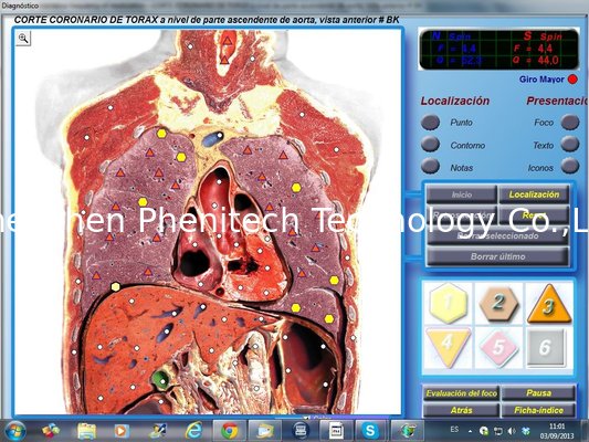 3DNLS Detecting body health / quantum resonance magnetic analyzer