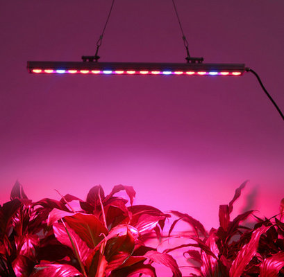 Bar Waterproof Hydroponic LED Grow Light Durable , High Brightness