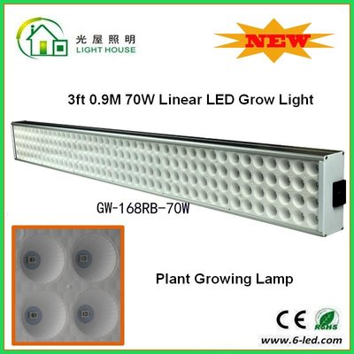 Hydroponic Led Plant Grow Lights 900mm Waterproof For Greenhouse