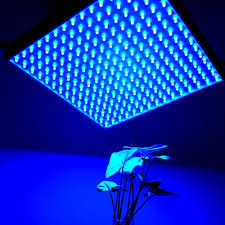 IP44 LED Panel Grow Light For Medical Plants / Greenhouse , High Brightness