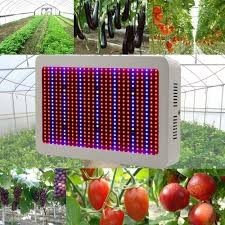 High Tech Dimmable LED Grow Lights Indoor With 50～60Hz Frequency