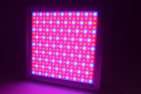 Full Spectrum Dimmable LED Grow Lights IP65 Waterproof With 58W Power