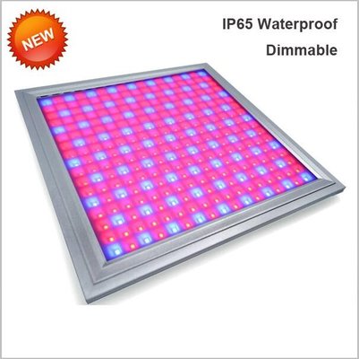 110V Led Full Spectrum Grow Lights , Led Flowering Grow Lights Energy Saving