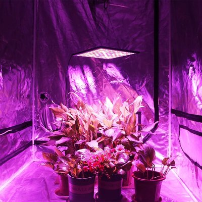 SMD Energy Efficient Grow Lights , Dimmable Hydroponics Indoor Plant Lights