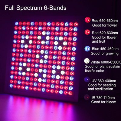 Waterproof Full Spectrum LED Grow Lights With 660nm - 450nm Wavelengh
