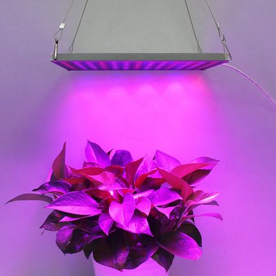 Indoor Garden LED Panel Grow Light With Meanwell Driver , 10mm Thickness
