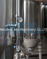 China Stainless Steel Conical Bottom Brewing Fermenter (ACE-FJG-B1) supplier