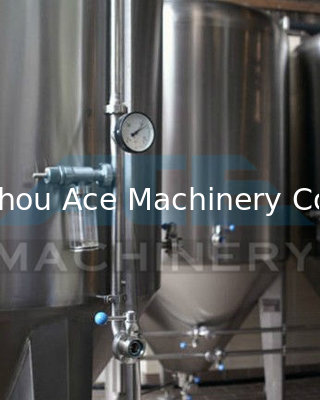 Stainless Steel Conical Bottom Brewing Fermenter (ACE-FJG-B1) supplier