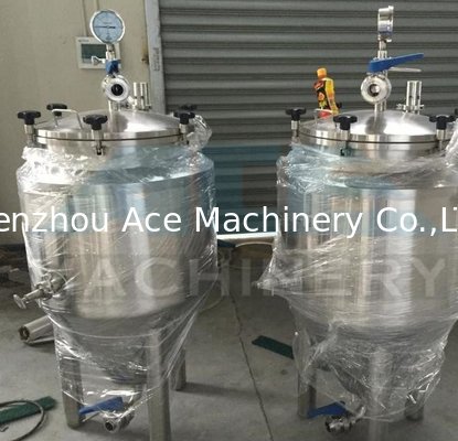 Stainless Steel 200L 500L 1000l Beer Fermenter For Witbier Beer supplier
