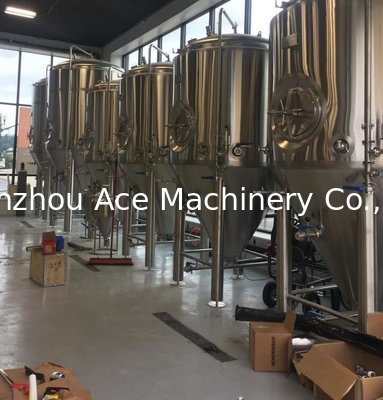 1000L Stainless Steel Fermentation Tank with Side Manway (ACE-FJG-V2) supplier