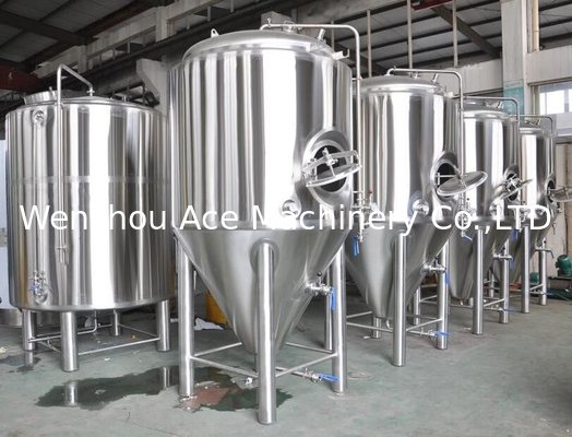 1000L Stainless Steel Fermentation Tank with Side Manway (ACE-FJG-V2) supplier