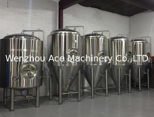 1000L Stainless Steel Fermentation Tank with Side Manway (ACE-FJG-V2) supplier