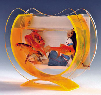 WaterProof Acrylic Display case Tray U Shaped Home Decoration Fish Tank