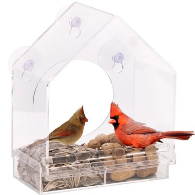 Wholesale Large Window Bird Feeder - Free Detachable Tray Acrylic Plastic bird feeder with water drain holes