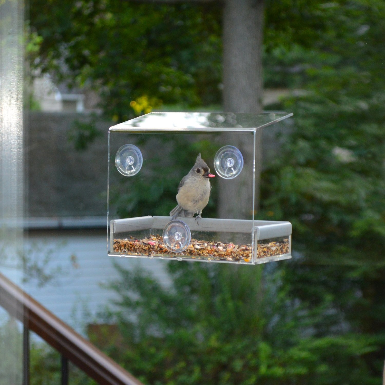 Wholesale Large Window Bird Feeder - Free Detachable Tray Acrylic Plastic bird feeder with water drain holes