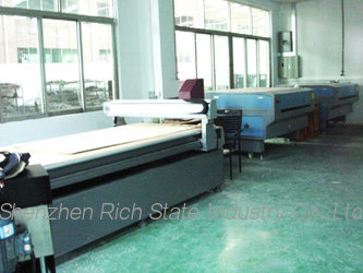 Shenzhen Rich State Industry Co., Ltd