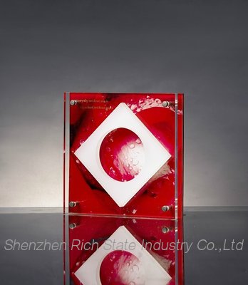 Wall Mounted Acrylic Poster Frame
