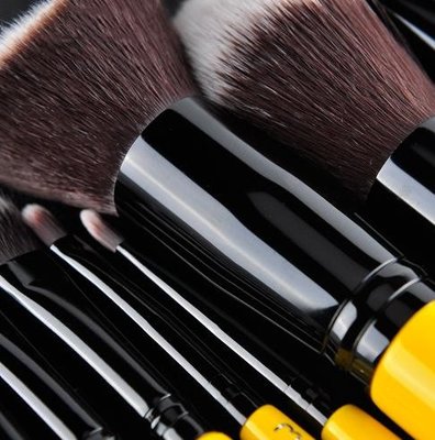 Professional makeup brush set,makeup brush set,Face brush ,Travelling makeup brush set ,Lip brush Eye brush