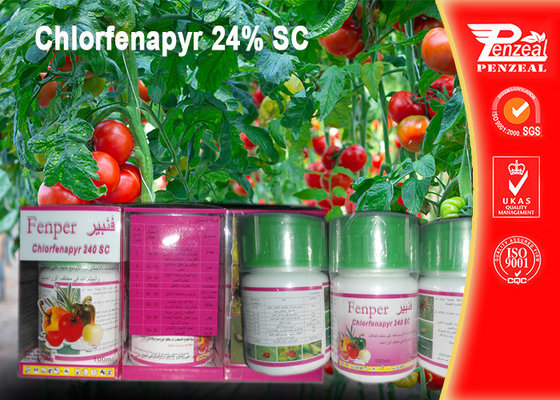 Insecticides de lutte contre les parasites de Sc de Chlorfenapyr 24% 122453-73-0