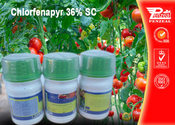 Insecticides de lutte contre les parasites de Sc de Chlorfenapyr 36% 122453-73-0