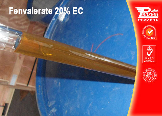 Insecticide non systémique pour l'EC CAS de Fenvalerate 20% d'arbres fruitiers AUCUN 51630-58-1