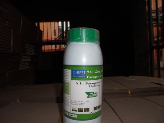 Agro herbicide non sélectif Cas No.4685-14-7 de pesticides du paraquat 20% SL
