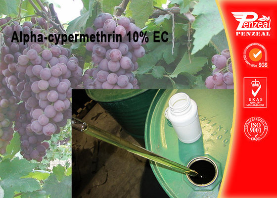 Alpha-cypermethrin 10% EC Pest control insecticides 67375-30-8