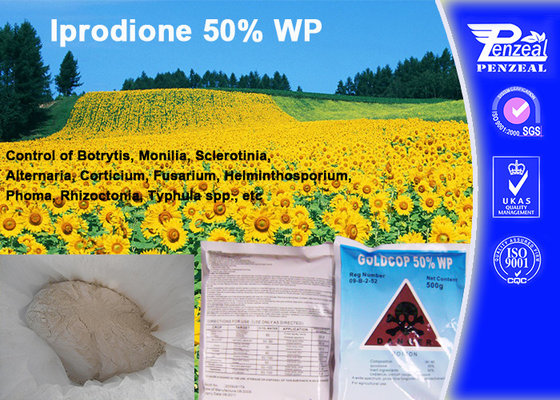 Fongicide systémique pour les pommiers/Baie, Iprodione 50% wp