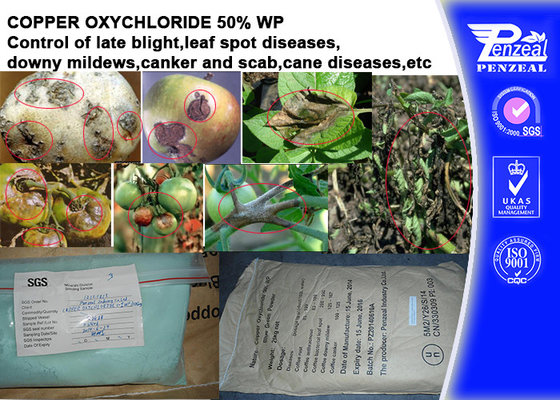 Fongicides agricoles foliaires de l'oxychlorure 50% wp d'en cuivre de fongicide