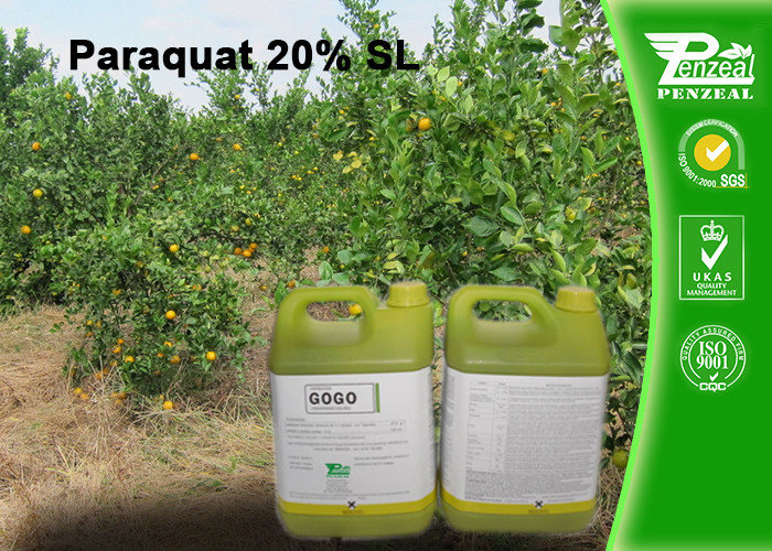 Contrôle sélectif d'herbicide du paraquat 20% SL des mauvaises herbes et des herbes Cas No.4685-14-7