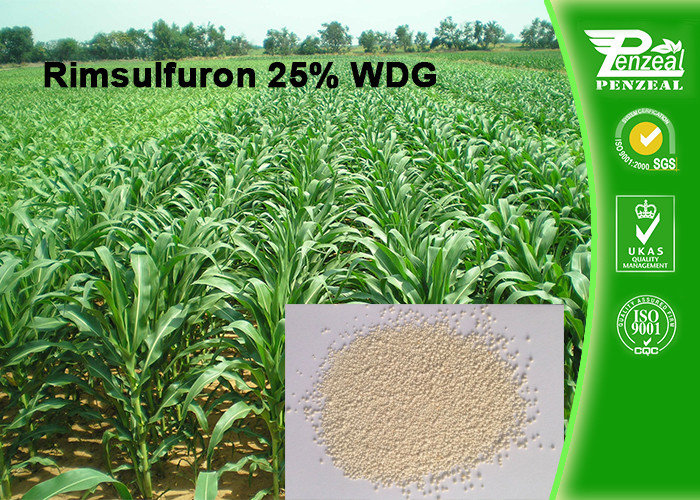 Désherbant sélectif de Rimsulfuron 25% WDG pour les pelouses/herbicide sélectif pour le maïs
