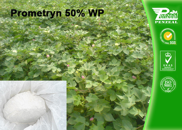Herbicide systémique sélectif de désherbant de jardin de Cas 7287-19-6 Prometryn 50% wp