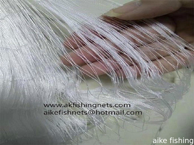210d/3ply Nylon Multifilament Fishing Nets, 5mmsq-20mmsq, OEM for Italy Market.
