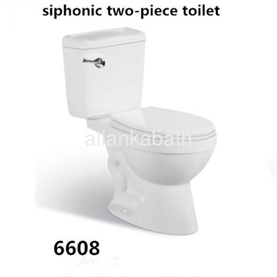 Bathroom Floor Mounted S-trap 300mm Roughing-in Siphonic Two-piece Toilet
