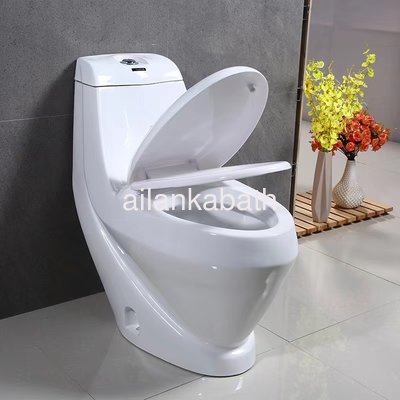 Factory Wholesale Bathroom Floor Mounted 4inches outlet 250/300mm Roughing-in Ceramic Washdown One-piece Toilet