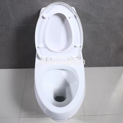 Factory Wholesale Bathroom Floor Mounted 4inches outlet 250/300mm Roughing-in Ceramic Washdown One-piece Toilet