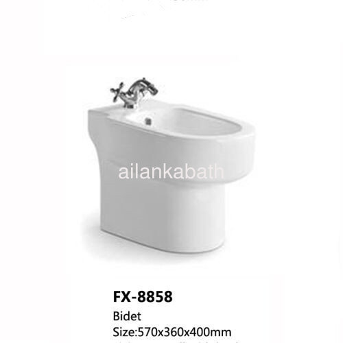 Floor Mounted Bidets for Females Fixing to Wall With Back Bathroom Ceramic Bidets