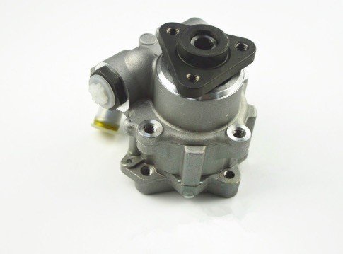 Pompa del servosterzo del Bmw di 5 serie, pompa 32411094098 della direzione di Electric Power