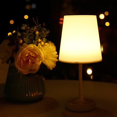 2018 hottest table lamp with both touching control and remote control, smart night light with soft led light supplier