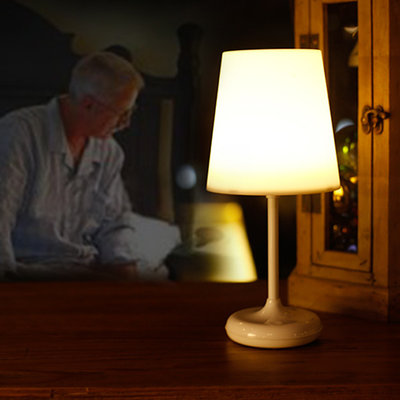 2018 hottest table lamp with both touching control and remote control, smart night light with soft led light supplier